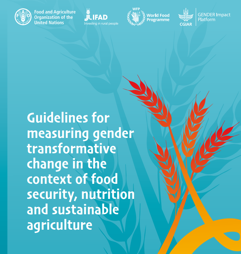 Guidelines for measuring gender transformative change in the context of ...